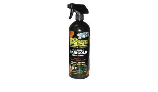 Canadian Marigold Horse Spray | Little Bit Western | Little Bit Western